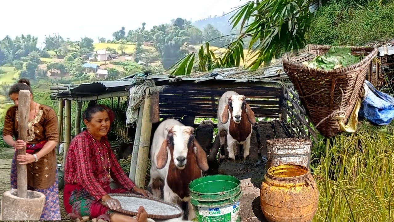 Traditional Lifestyle || Living Traditional Life In Poor Village ...