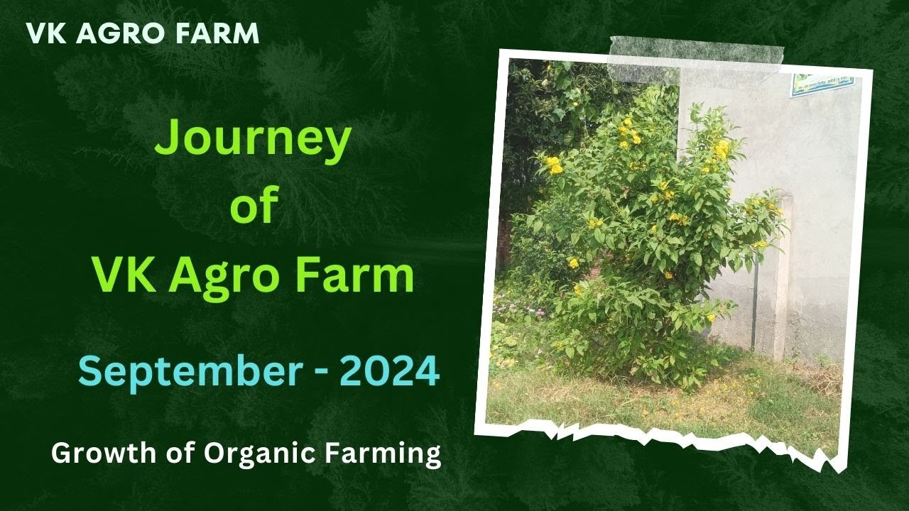 VK Agro Farm Journey at September 2024 - Organic Farming Growth ...