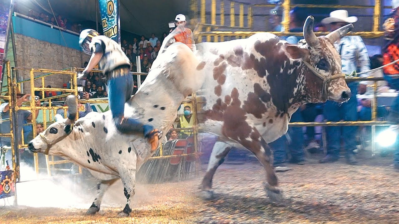 ¡QUÉ TORADA IMPRESIONANTE DE LOS FASCINANTES DE RANCHO EL HUIZACHE ...