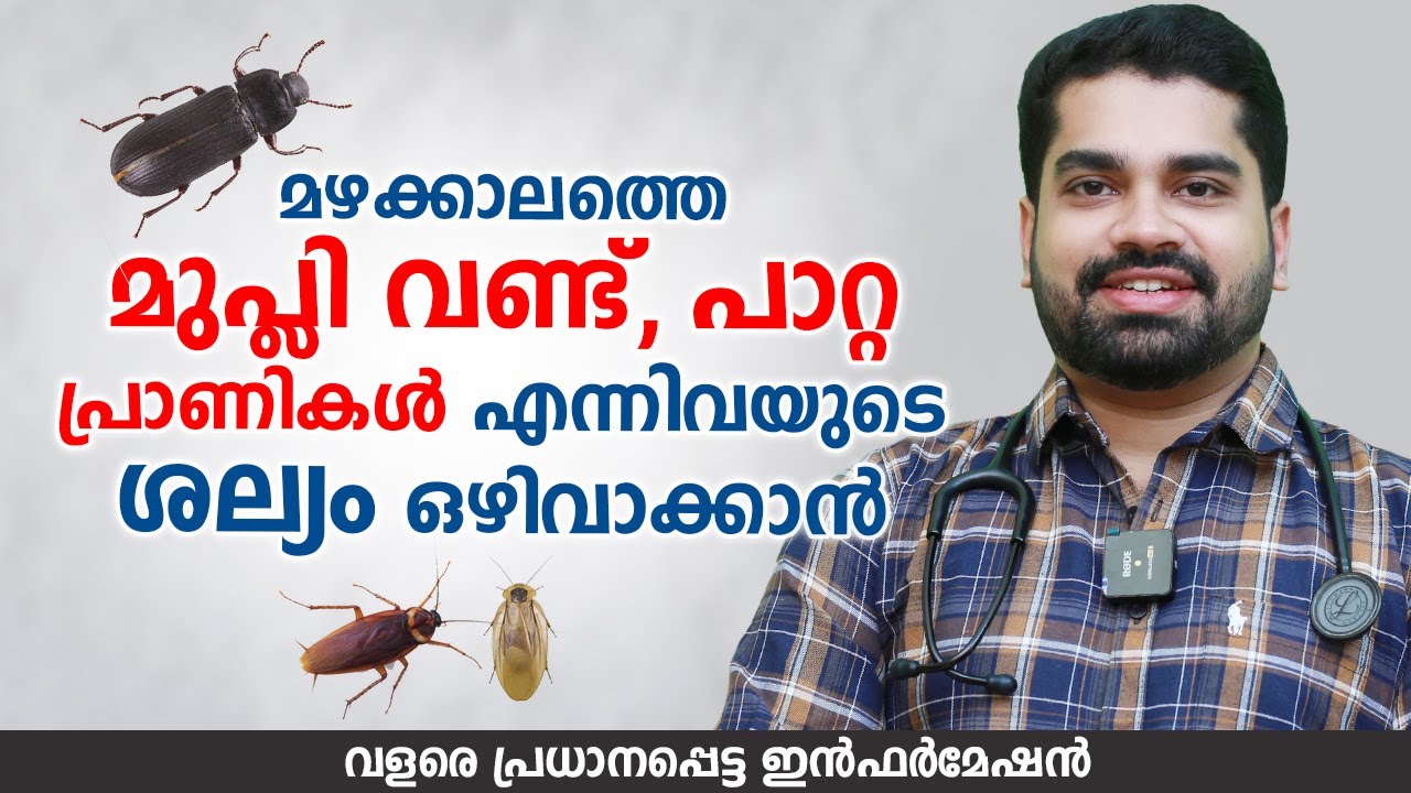 മുപ്ലി വണ്ട്, പാറ്റ, പ്രാണികൾ എന്നവ്യയുടെ ശല്യം ഒഴിവാക്കാൻ | How To ...