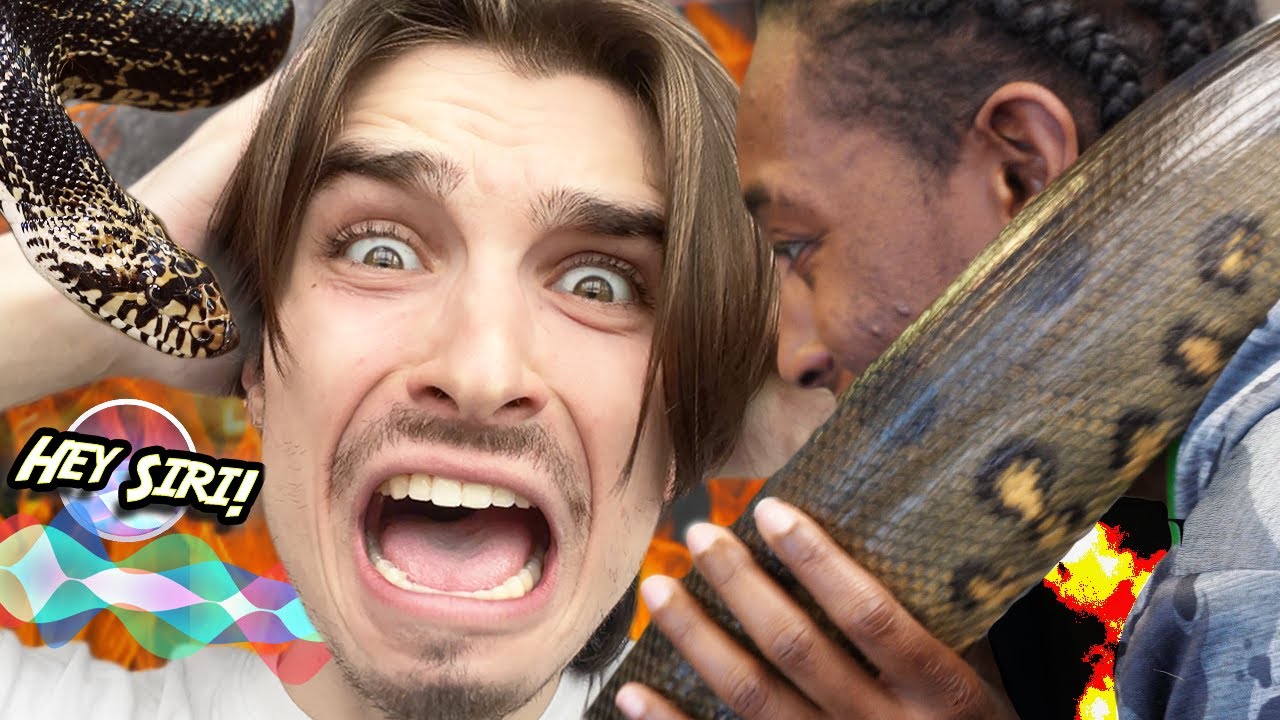 Siri Decides What Snakes We Handle!?! - YouTube