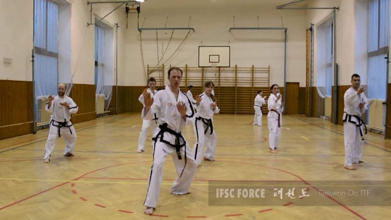 IFSC Force Taekwon-Do ITF Training Camp in Prague - June 2016 - YouTube