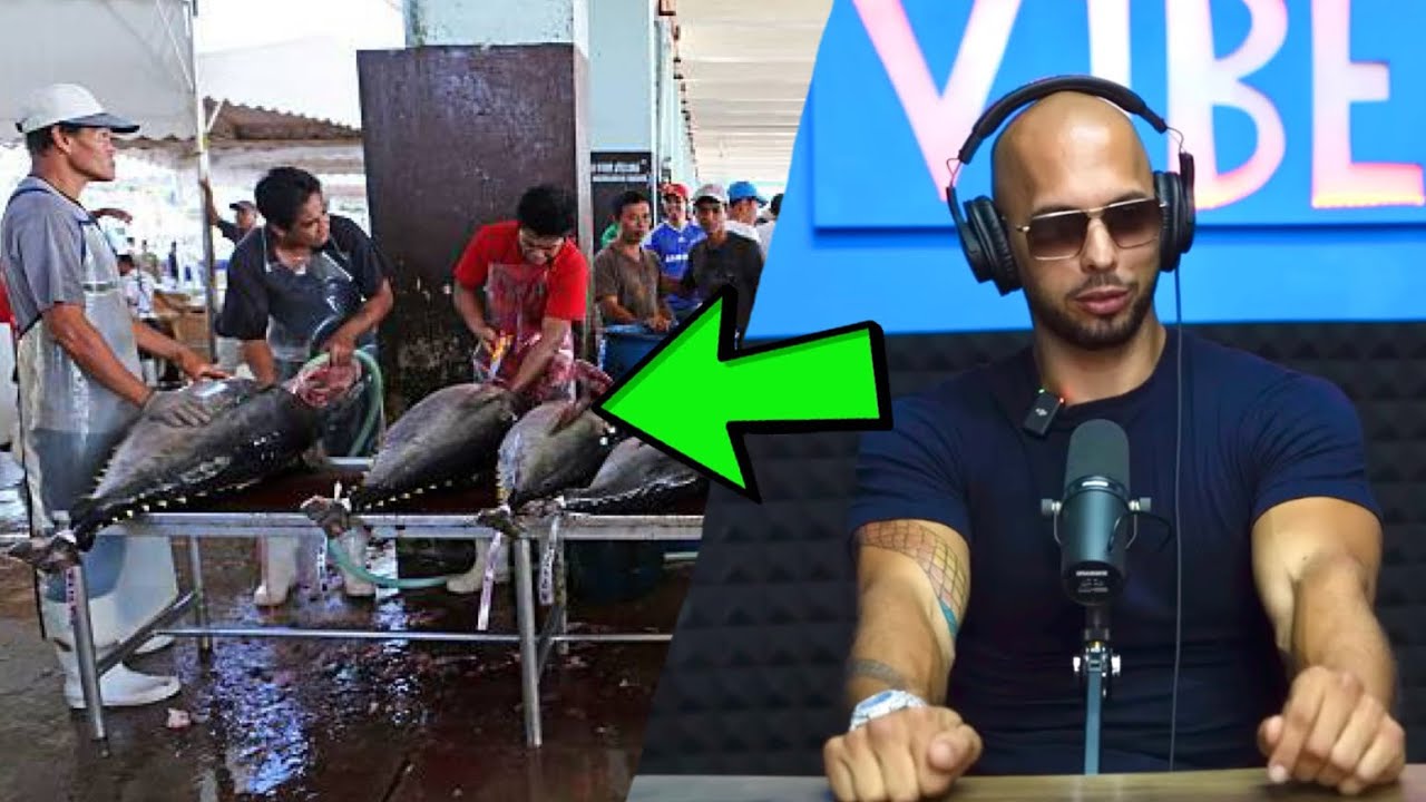 What was Andrew Tate’s first Job? - YouTube