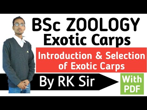 Exotic Carps|Pisciculture|Fish Culture|Economic Zoology|BSc Online ...