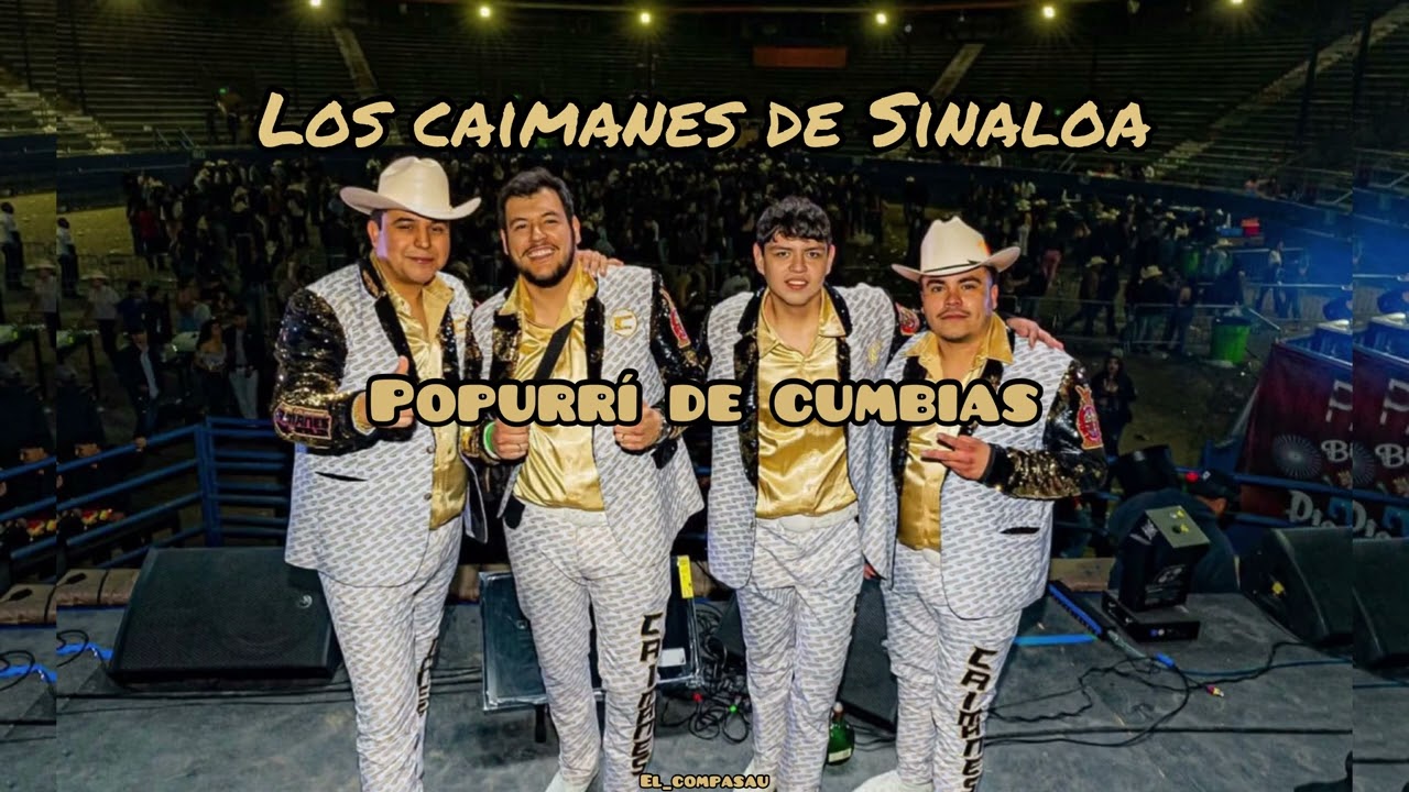 Los Caimanes De Sinaloa Popurri De Cumbias En Vivo Youtube Music