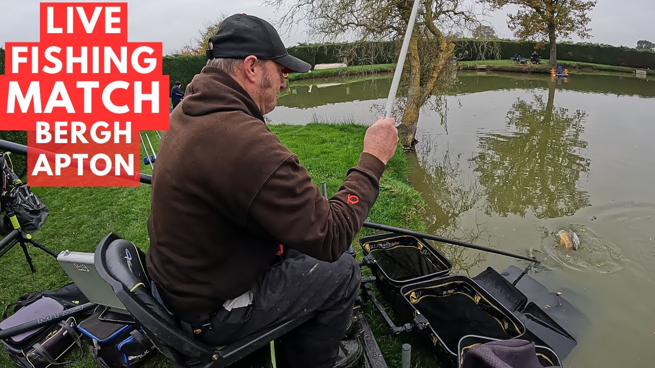 Live Fishing Match Bergh Apton lake #matchfishinguk - YouTube