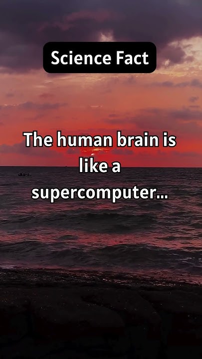 The human brain is like a supercomputer... - YouTube