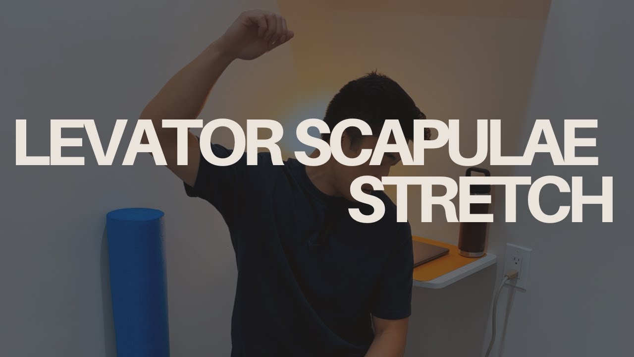 Levator Scapulae Myofascial Stretch and PNF Technique - YouTube