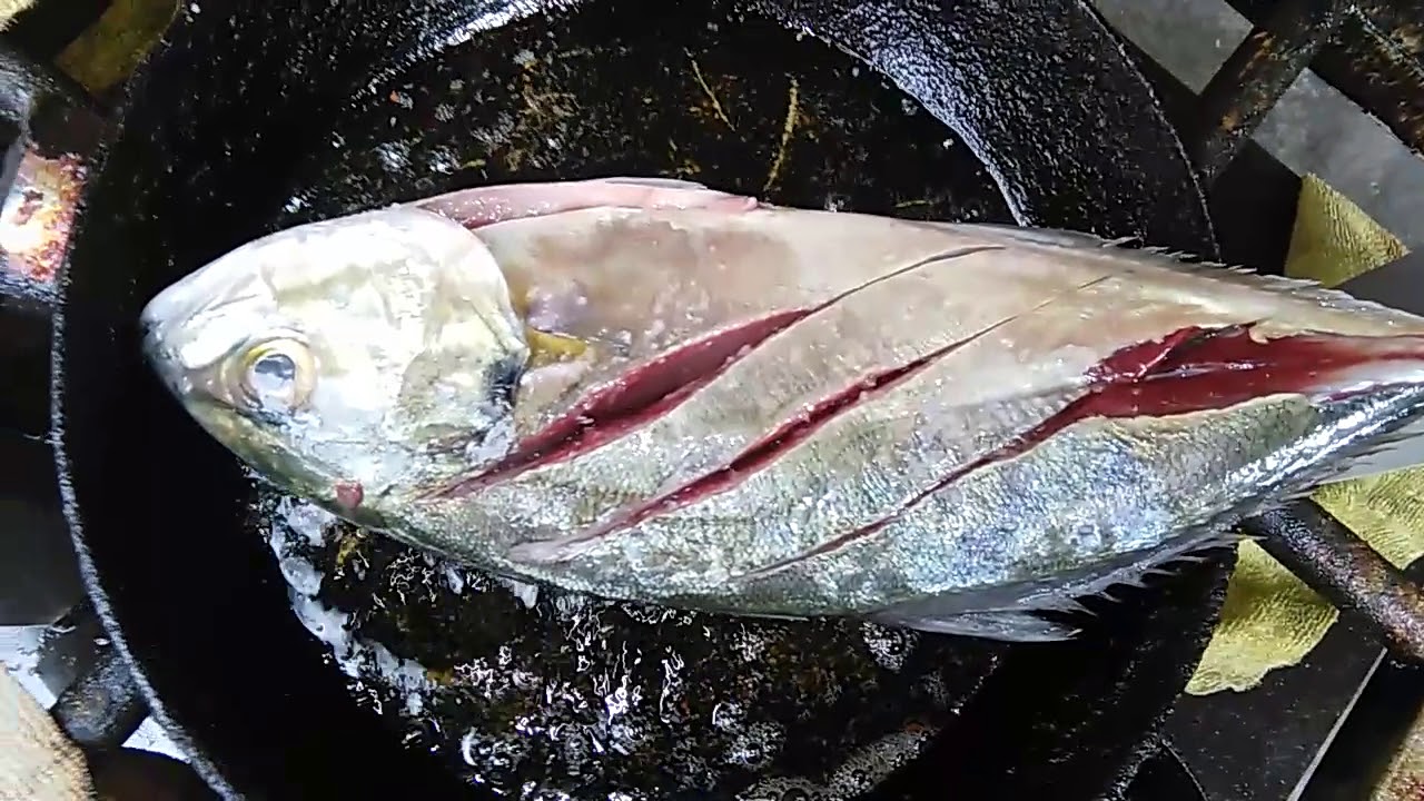 Pescado frito, Cojinoas. - YouTube