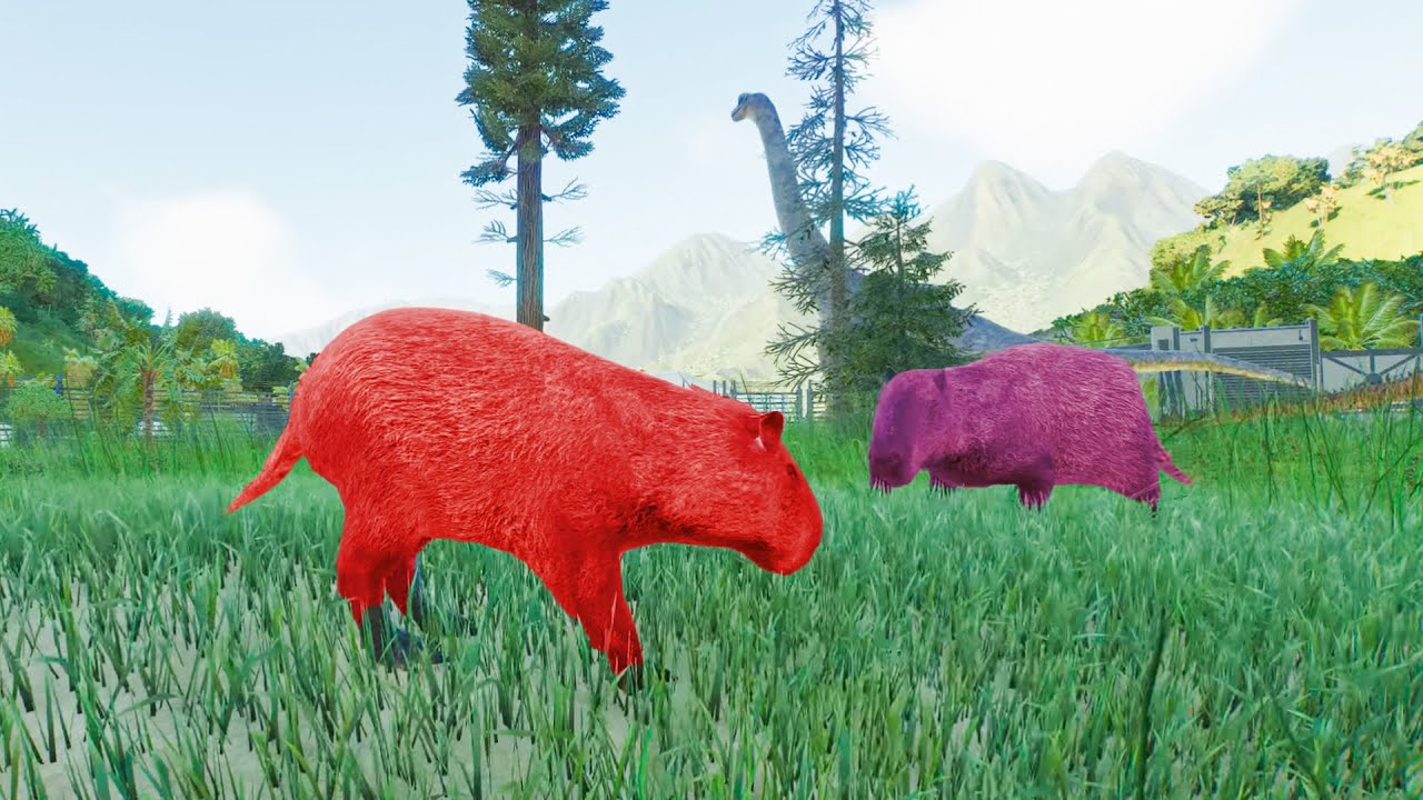 Wild Capybara Fighting Aggressively 4K video -for kids to WATCH ...