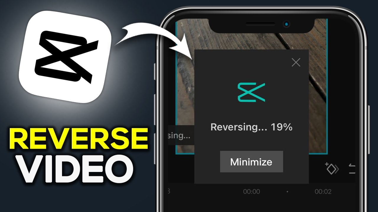 How To Reverse a Video on CapCut (Mobile) - Easy Guide - YouTube