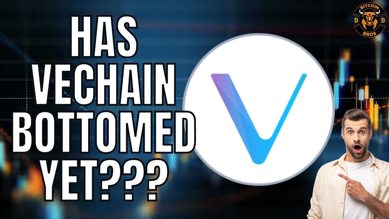Vechain Update... Have We Bottomed!? - VET Crypto Technical Analysis ...