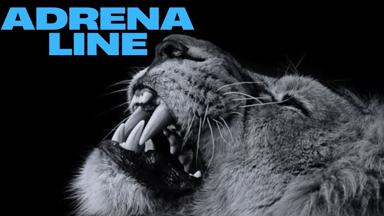 What Gives You ADRENALINE motivational speech - YouTube