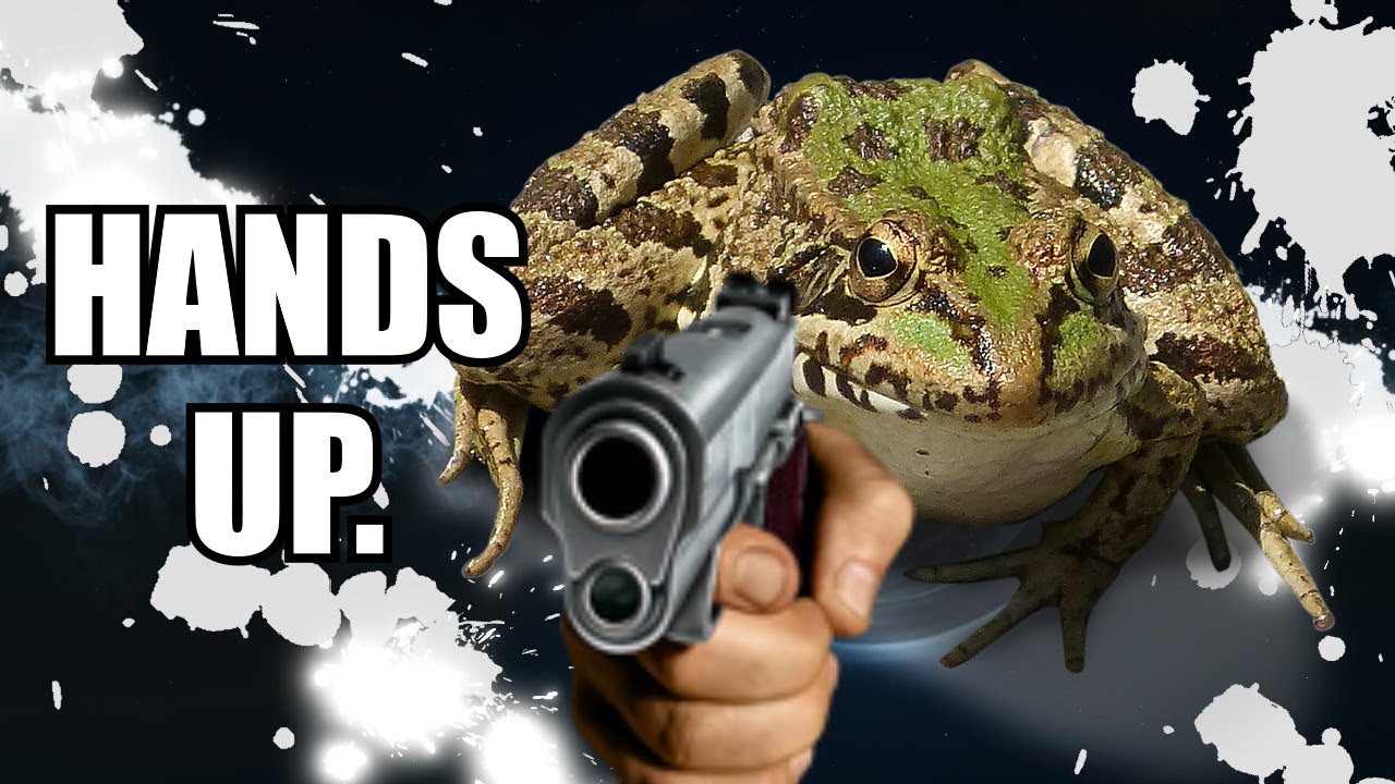 The strongest frog in history (smash legends leaks) - YouTube