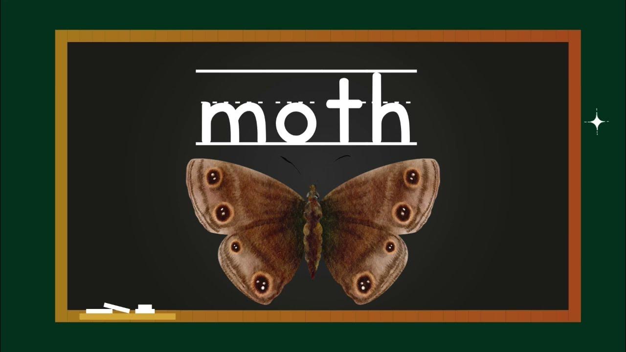 ckla skills 1 decodable words - YouTube