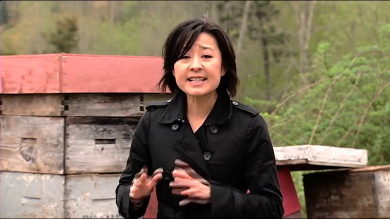 Angry Bees - Elizabeth Chiu CBC - YouTube