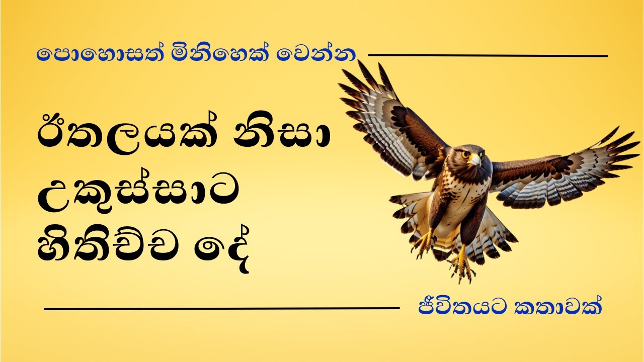 උකුස්සා සහ ඊතලය | kathandara/ sinhala motivational story video ...