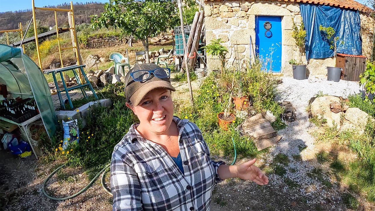 Hopes and Dreams for My Off Grid Homestead in Portugal - Land Tour Part ...