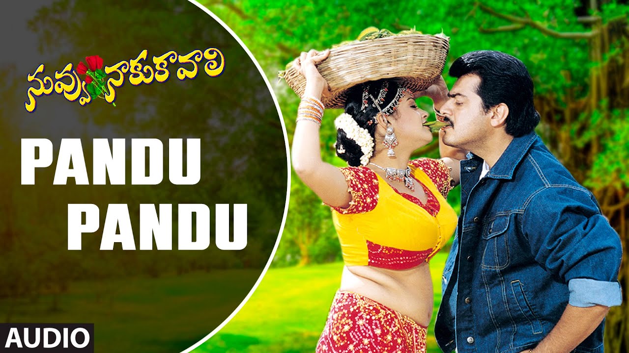 Pandu Pandu Audio Song | Nuvvu Naaku Kaavali | Ajith Kumar, Jyothika ...