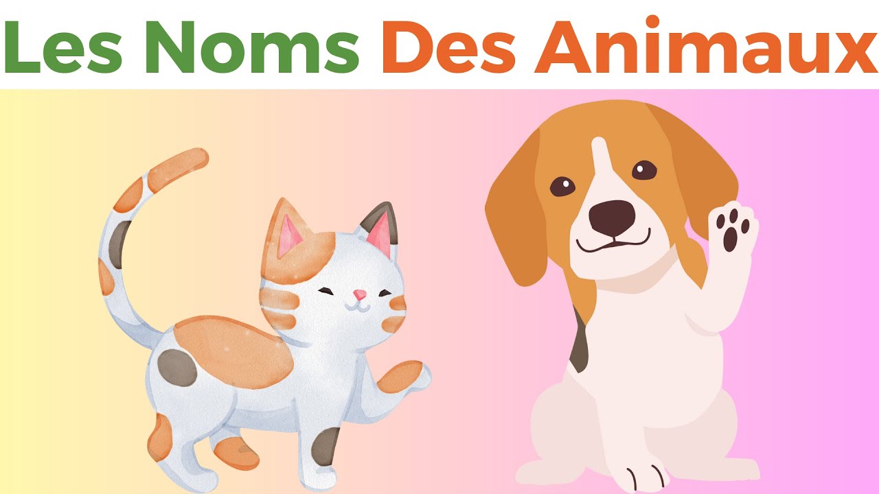 Les Animaux animals In French YouTube les-animaux-animals-in-french-youtube