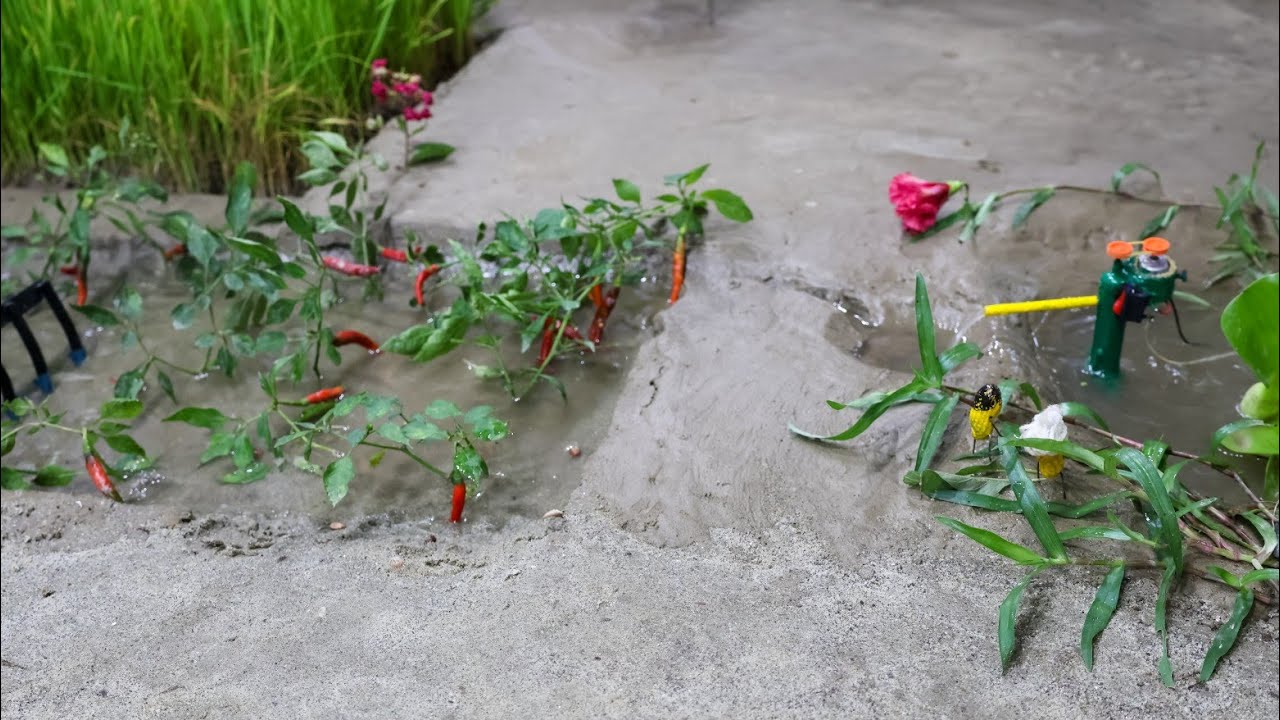 Diy Mini Axial Water Pump | Mini Tractor | Chilli Cultivation ...