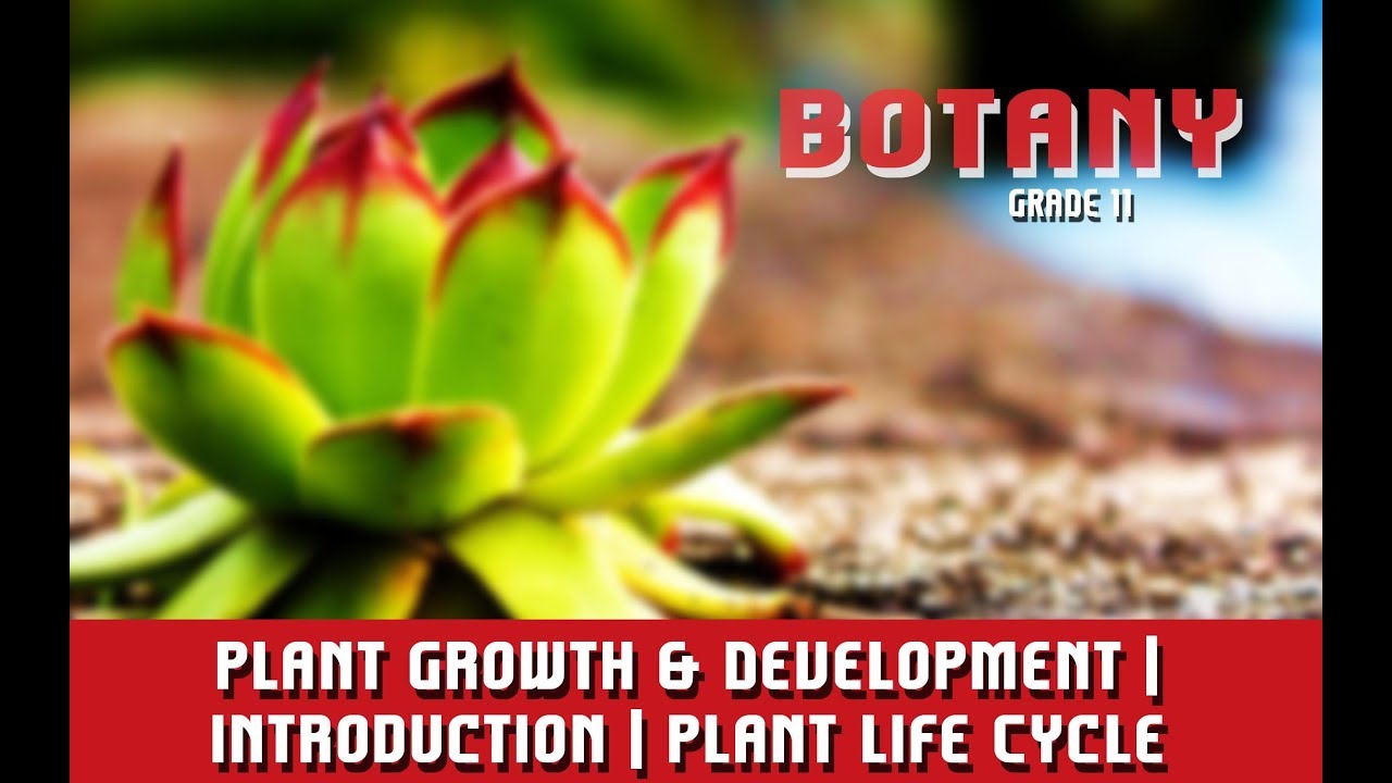 Plant Growth & Development | Introduction | Plant Life Cycle | Growth ...