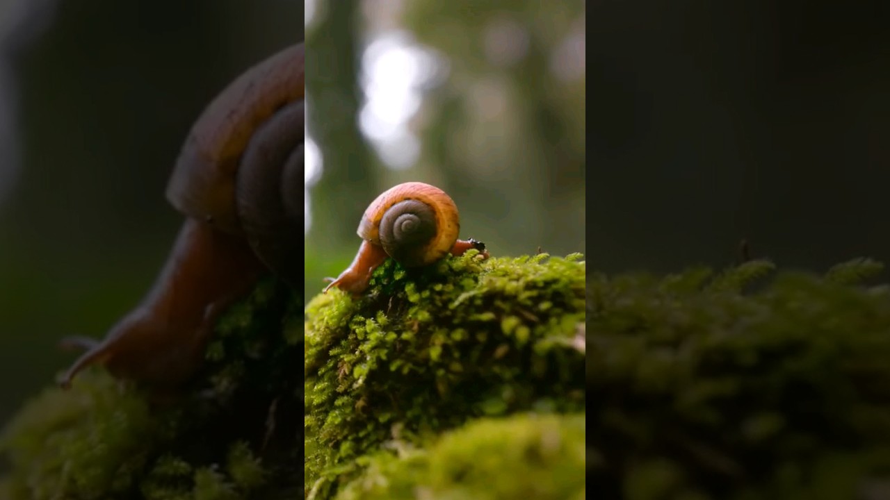 Hanuman Hindi Trailer | In Cinemas 12th Jan, 2024 | Prasanth Varma ...