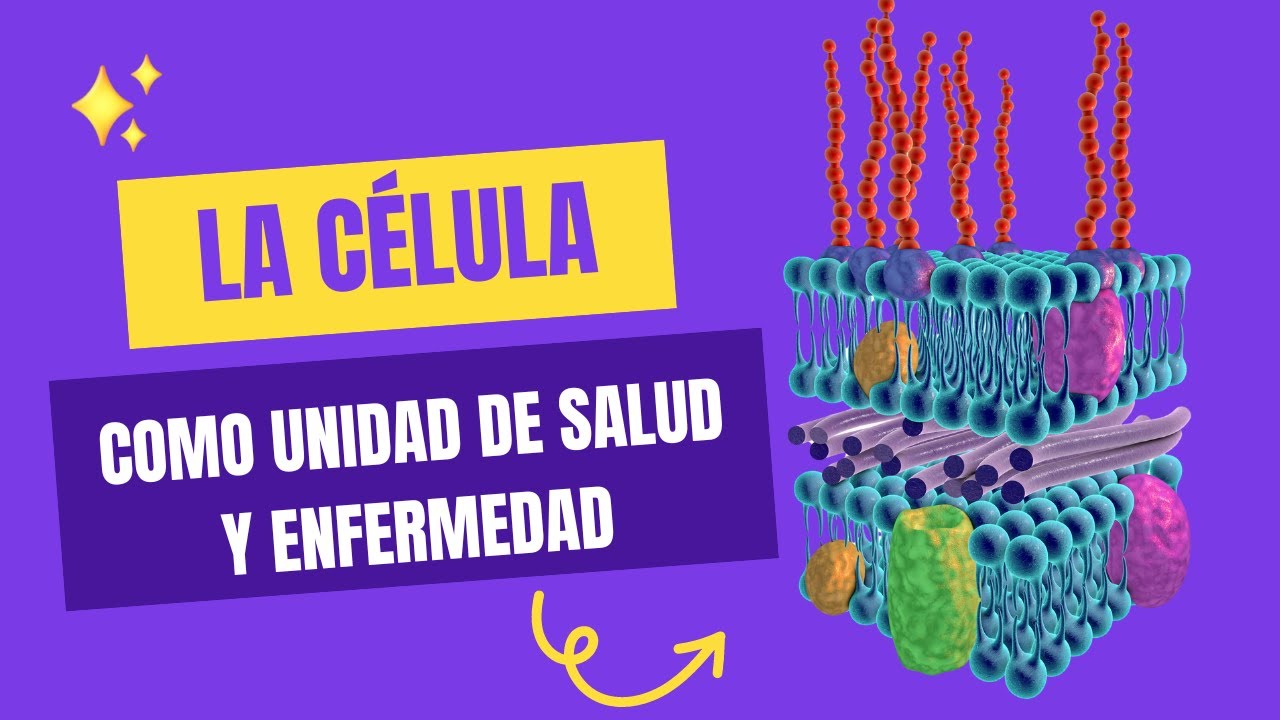 La célula como unidad de salud y enfermedad - Estructura - YouTube