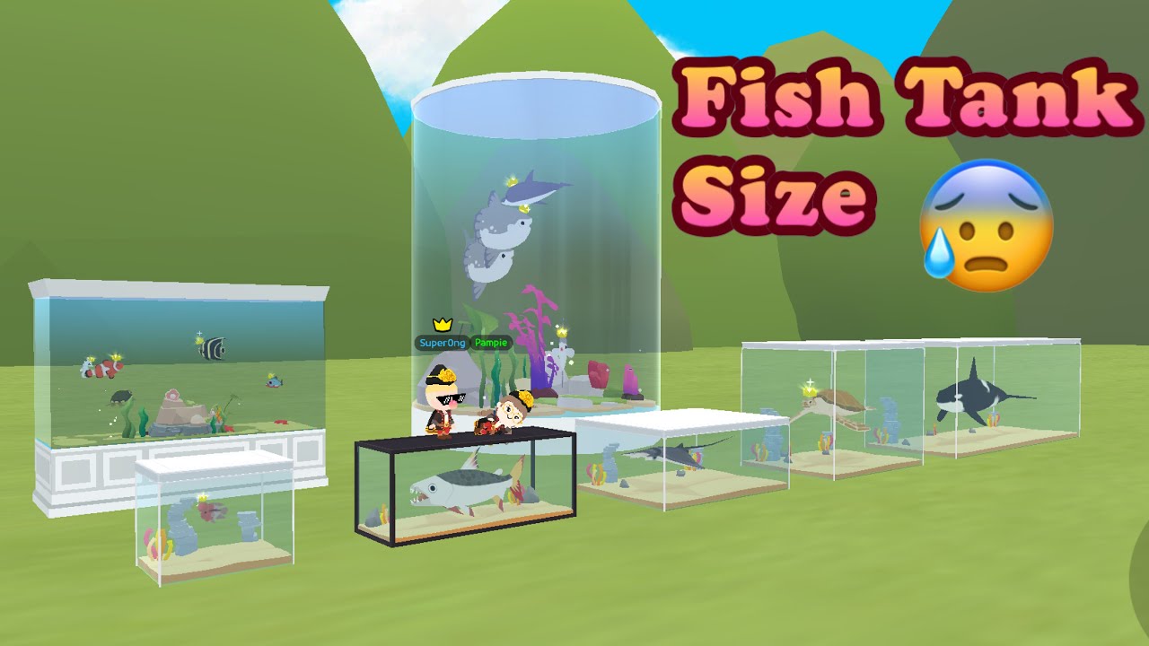 PLAY TOGETHER | How to choose Fish Tank Size | Large Fish vs Very Large ...