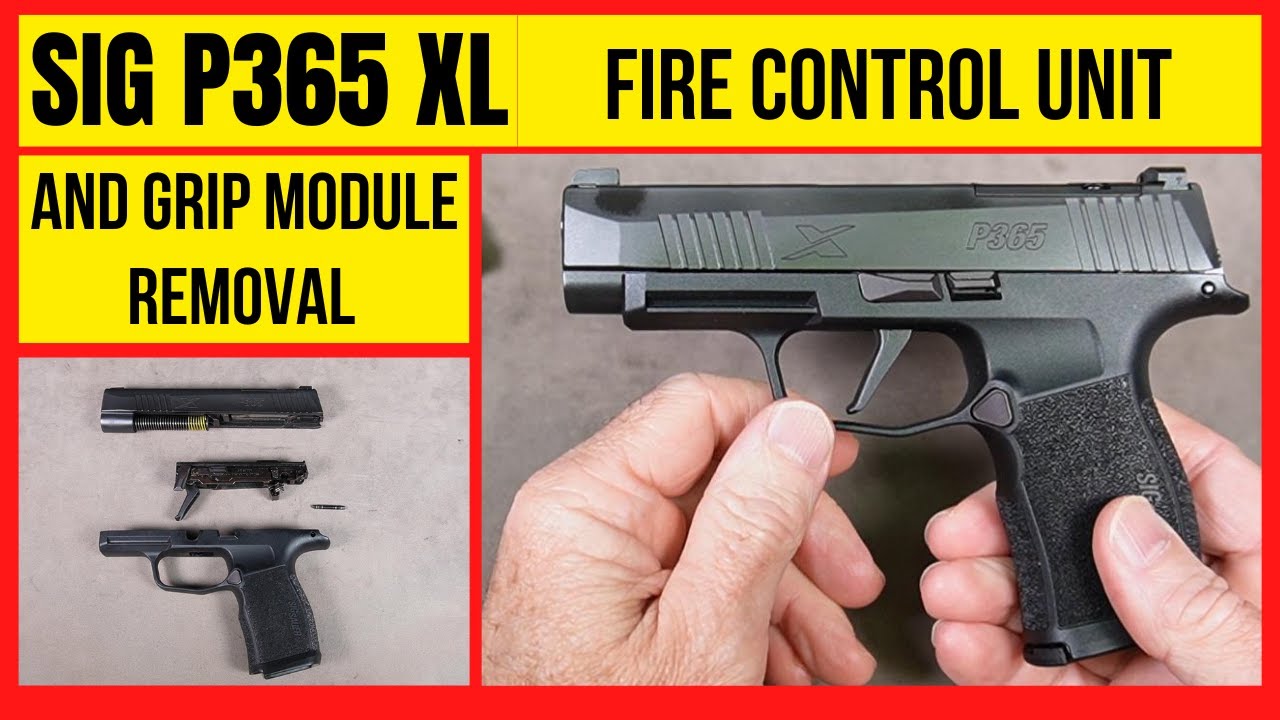 Sig P365 Grip Module Change. How to do it. #sigp365 - YouTube