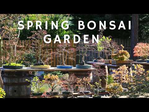 Momiji-En: Refreshed Spring Garden in 2026