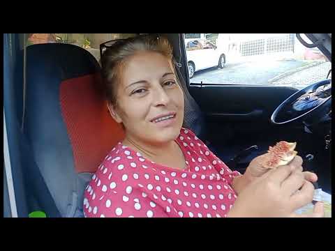 Bahçemizden fasulye ve biberlerimizi topladık||Ailecek güzel bir gün geçirdik #vlog