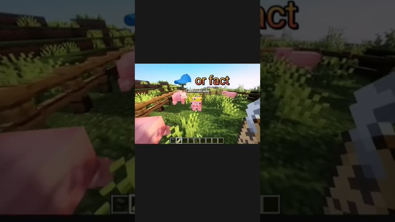 Cap or fact. Minecraft name tag, Technoblade. - YouTube