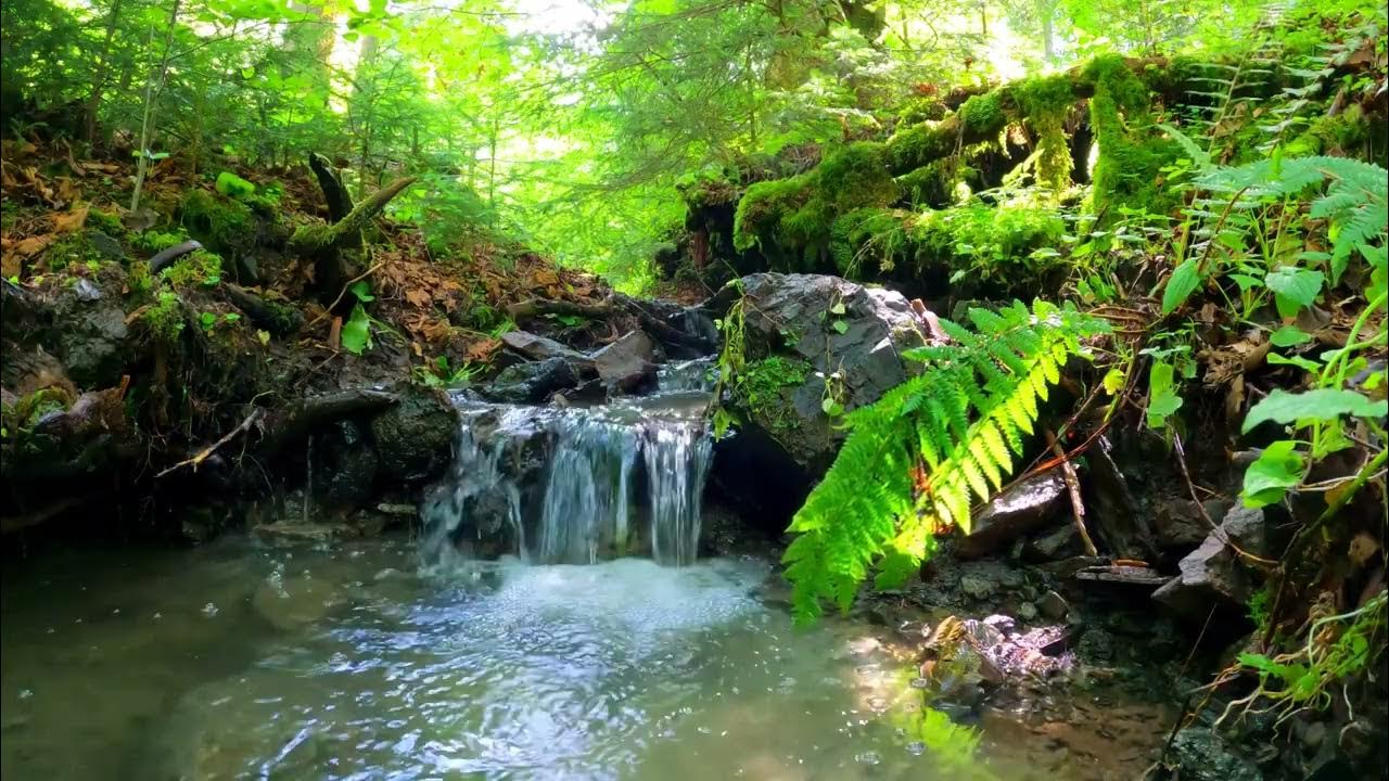 Relaxing Waterfall Nature Sounds Calming | Relaxing River Sounds ...