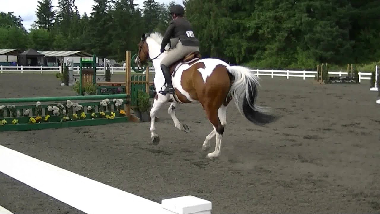 Glacier Gus - Susan Babbitt - Baby Green 3rd Round - 1st Place - YouTube