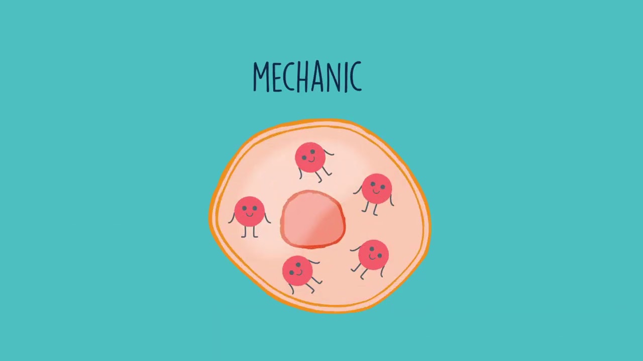 (1) Principles of protein extraction (animation) - YouTube