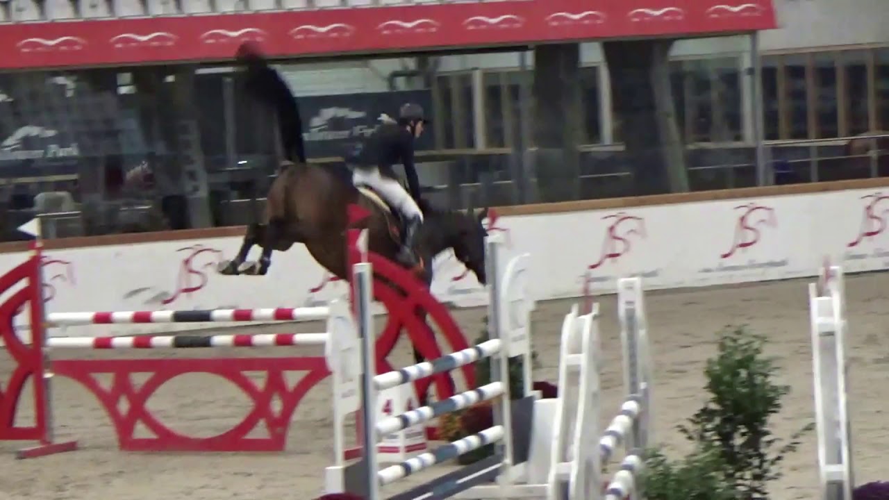 Castella di Luna Winner Final CSIYH 5y 14 11 2020 - YouTube