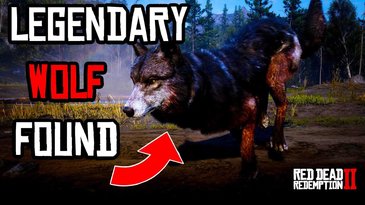 Legendary Wolf RDR2 Location & Easy Kill Guide – How to Hunt & Skin for ...