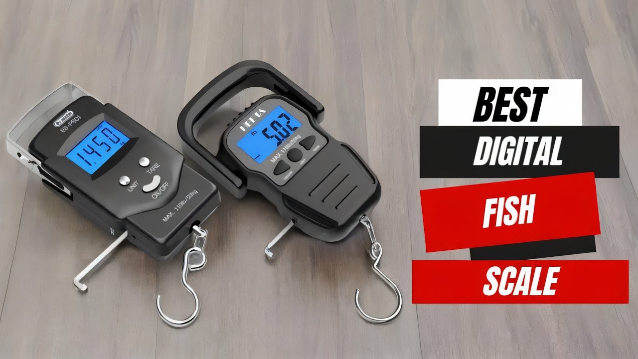Top 5 Best Digital Fish Scales for Accurate Weighing | Must-Have Tools ...