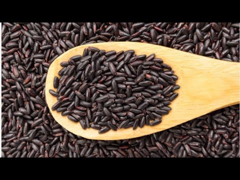 kavuni arisi|karuppu kavuni rice|karupu kavuni rice benefits|Arisi ...