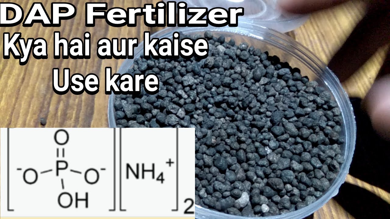 Is Dap A Chemical Fertilizer Infoupdate