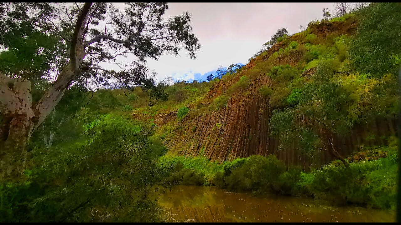 Hiking in Organ Pipes National Park 8 June 2020 - YouTube