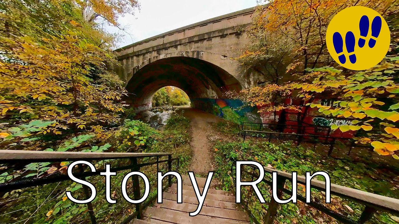 Walking in Gorgeous Fall Foliage - Stony Run Trail, Baltimore - YouTube