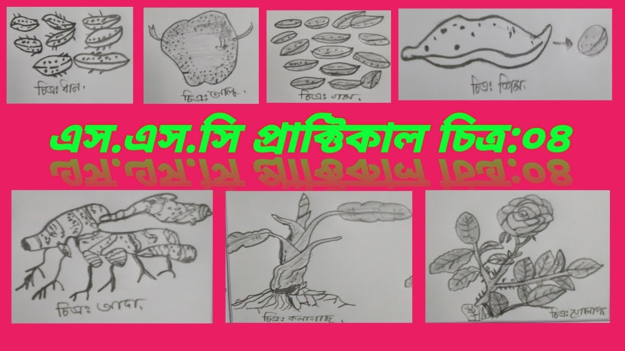 Short syllabus 2023 SSC Agriculture Practical Drawing || সংক্ষিপ্ত ...