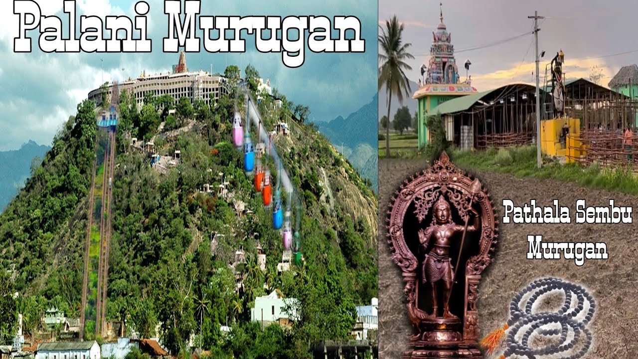 🧿Palani Travel Vlog-Pathala Sembu Murugan-All Details #palani #travel # ...