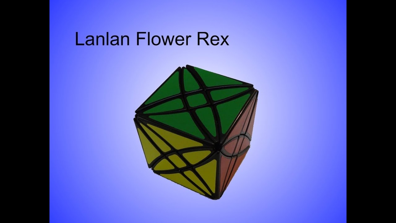 Lanlan Flower Rex Puzzle - YouTube
