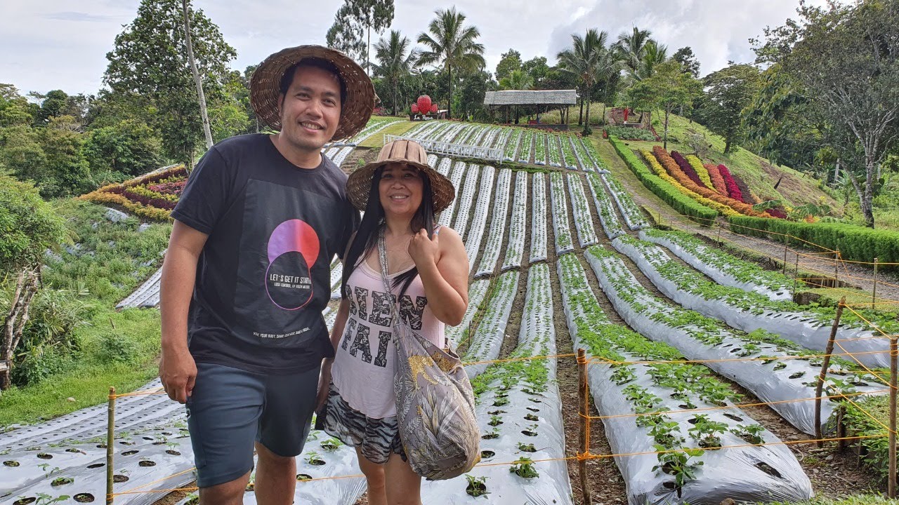 Lets update our channel - YouTube