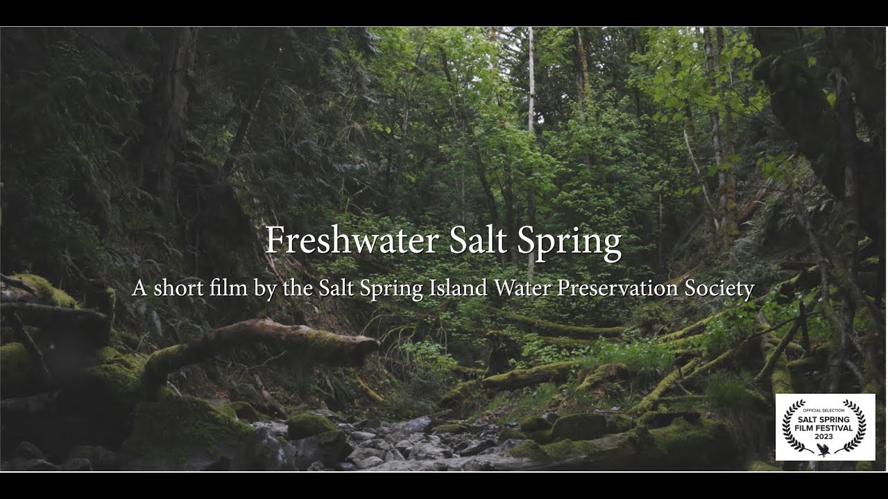 Freshwater Salt Spring - YouTube