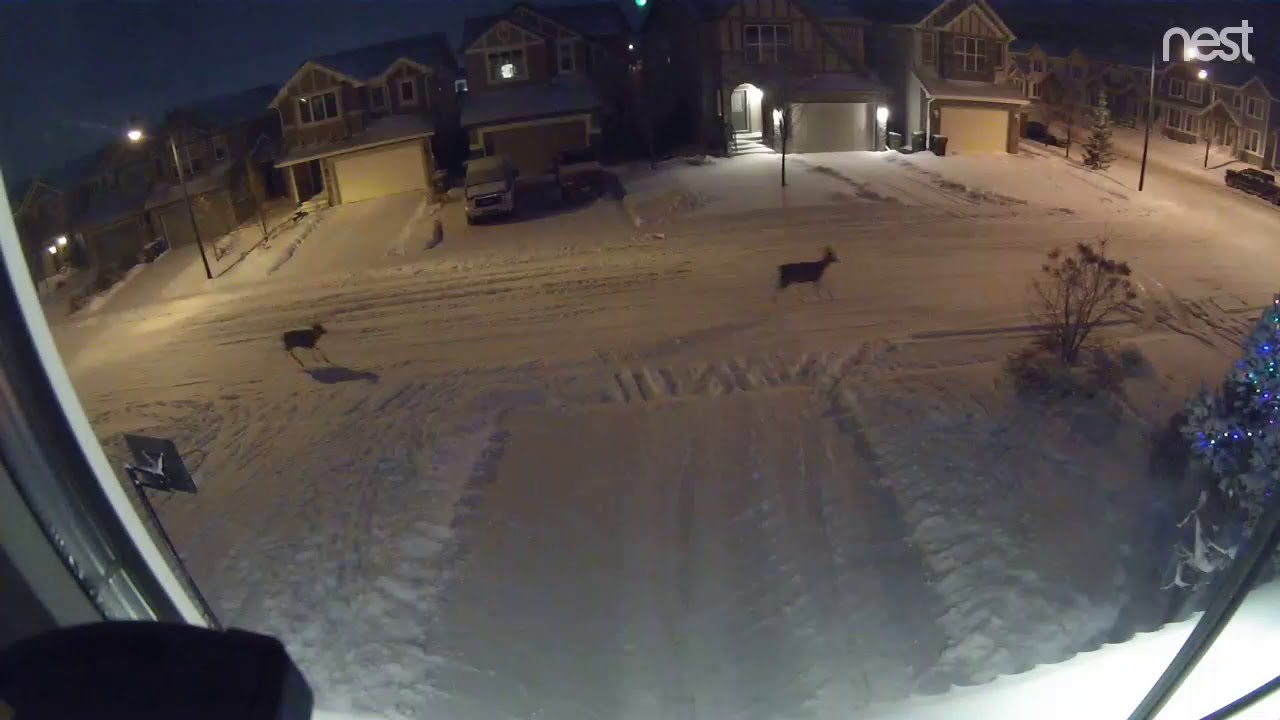 Nov 4 2017 - YouTube