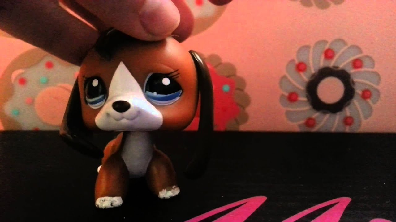 LPS : Shopping #35 Moje nowe Littlest Pet shop ! - YouTube